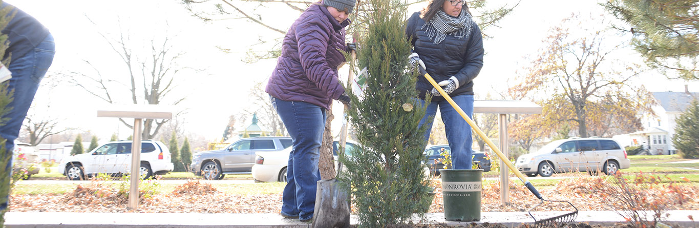Tree Planting Safety